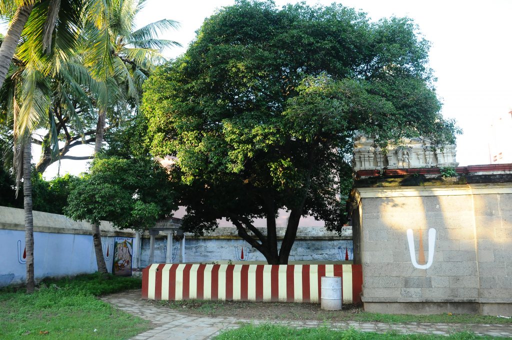 MADHURANTHAGAM MUNICIPALITY – மதுராந்தகம் நகராட்சி